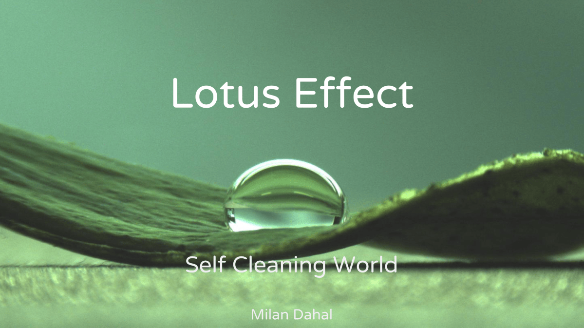Self Cleaning World with Lotus Effect – milan101